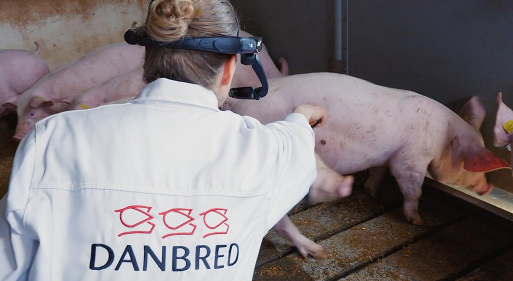 DanBred præsenterer ny remote support løsning på EuroTier messen i ...